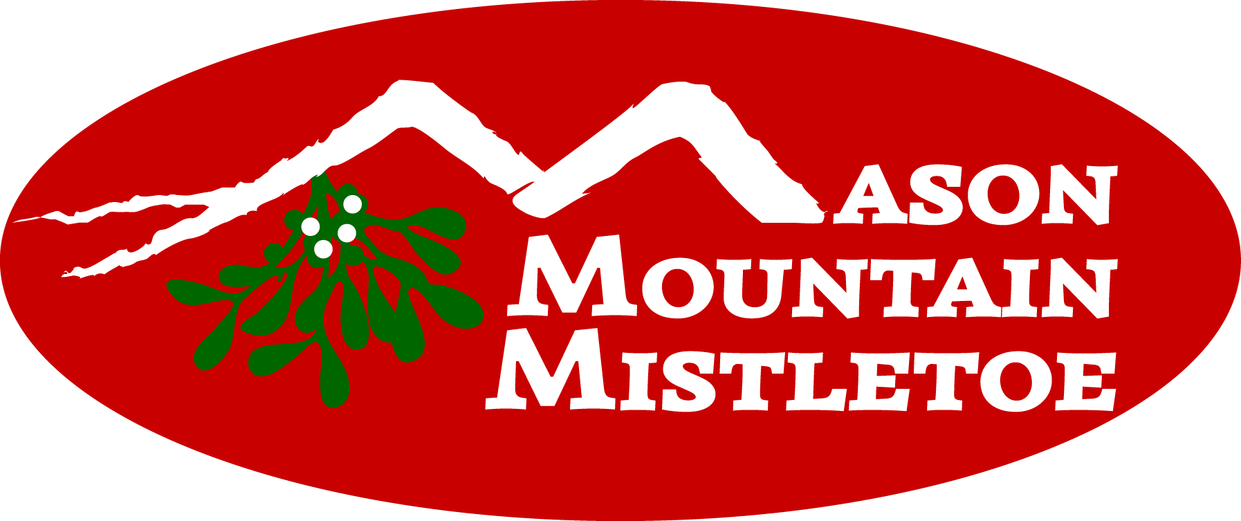 Mason Mountain Mistletoe - Mason Mountain Mistletoe